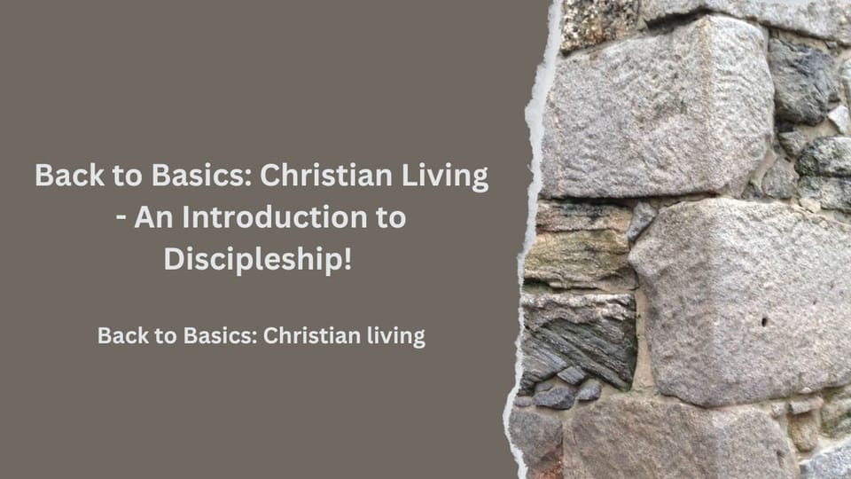 Back to Basics: Christian Living: The Call & Foundations of Christian ...